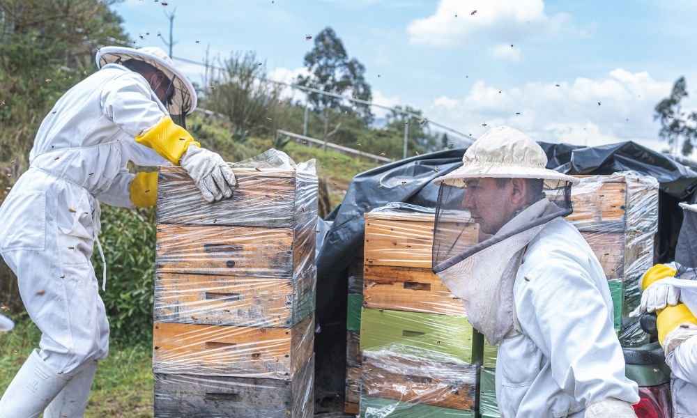10 Tips for Transporting Bees Long Distance