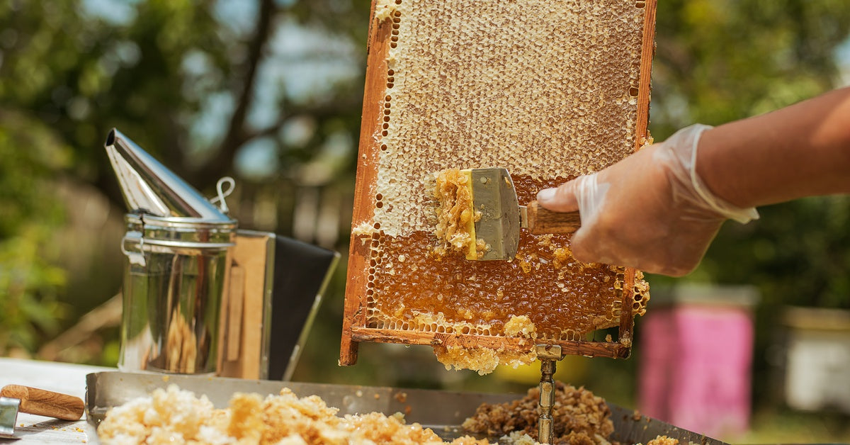 5 Ways To Maximize Your Colony’s Honey Production